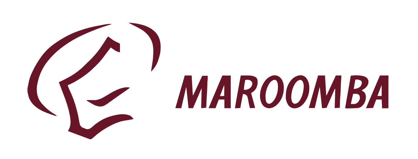 Homepage | Alice Springs Airport